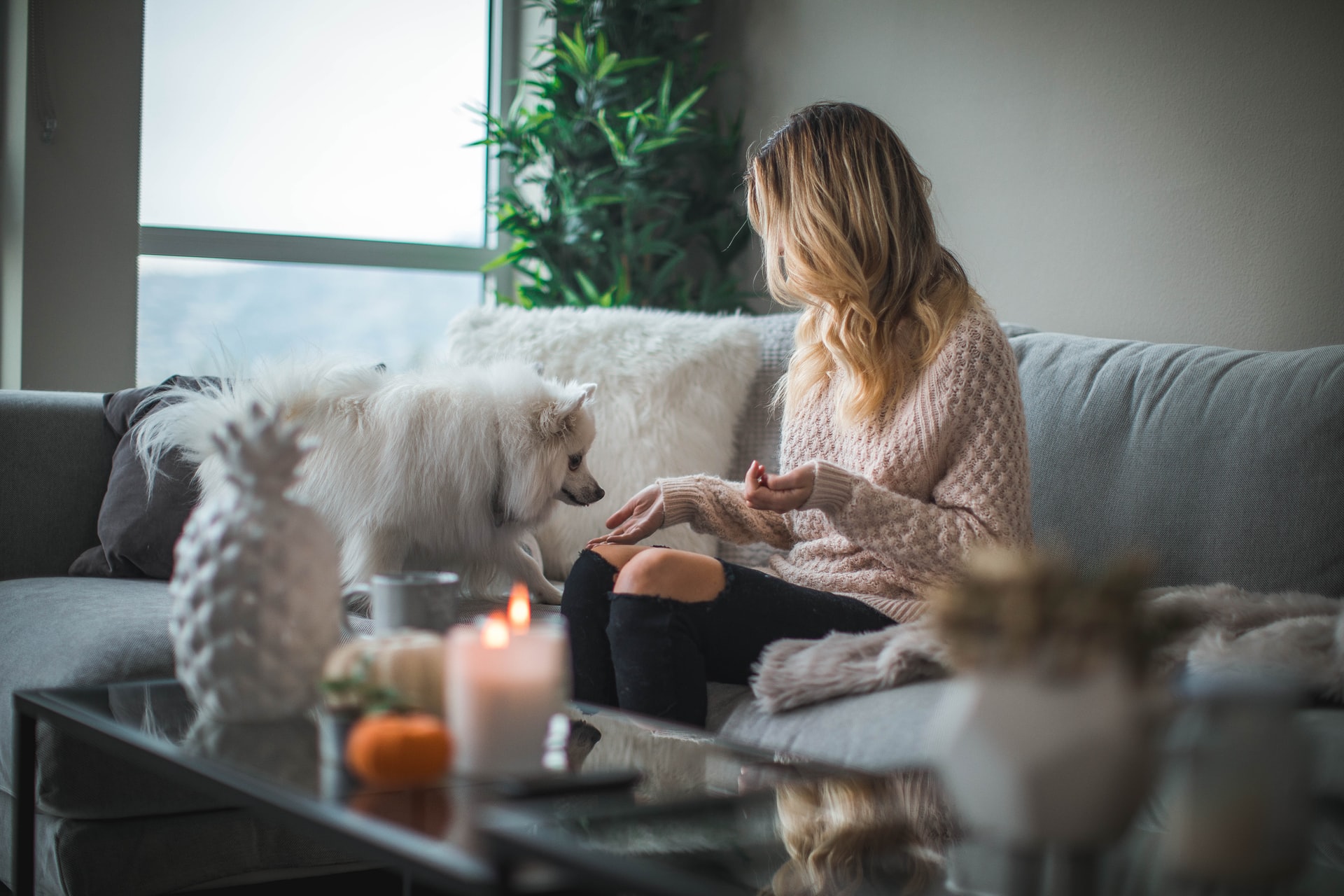 Become A House Sitter In Australia